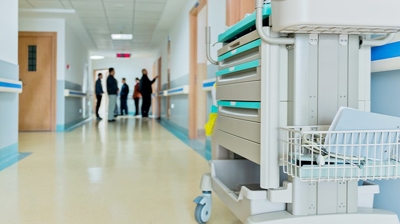 Commercial Pest Control in Chicago | Aerex Pest Control